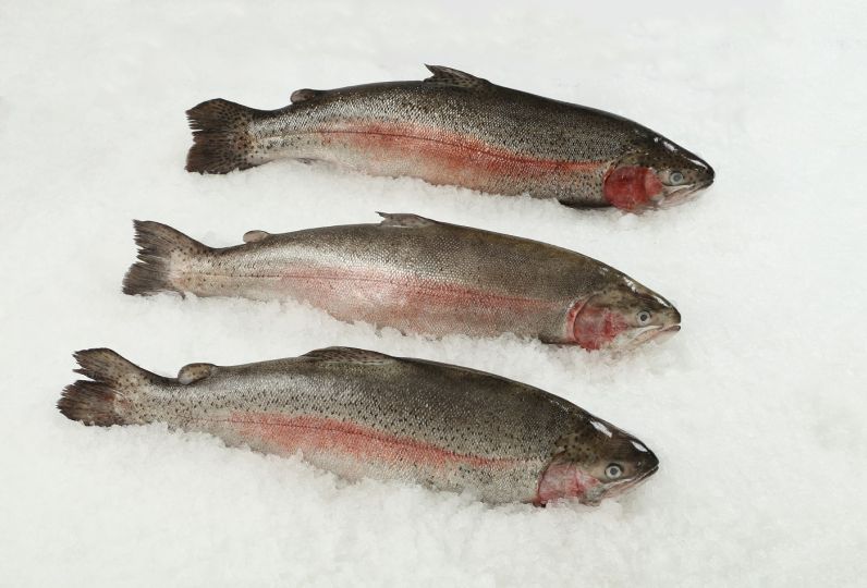 Tasmanian Trout, Whole Fish | Citarella