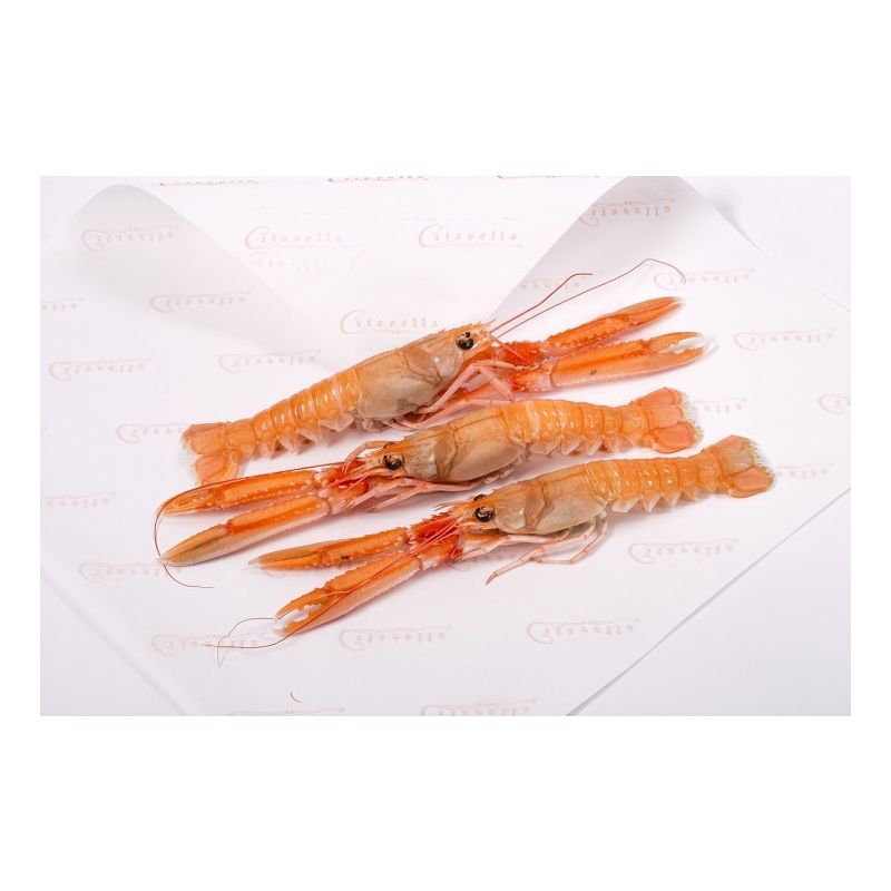 Wild Langoustines, by the Pound | Citarella